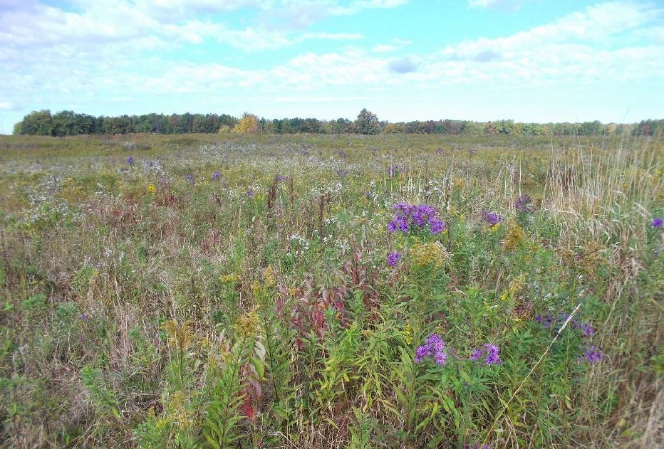 neogis.neorsd.org - /STORYMAP/WRRSP/WRRSP_Story_Map_Site_Photos/Geneva ...