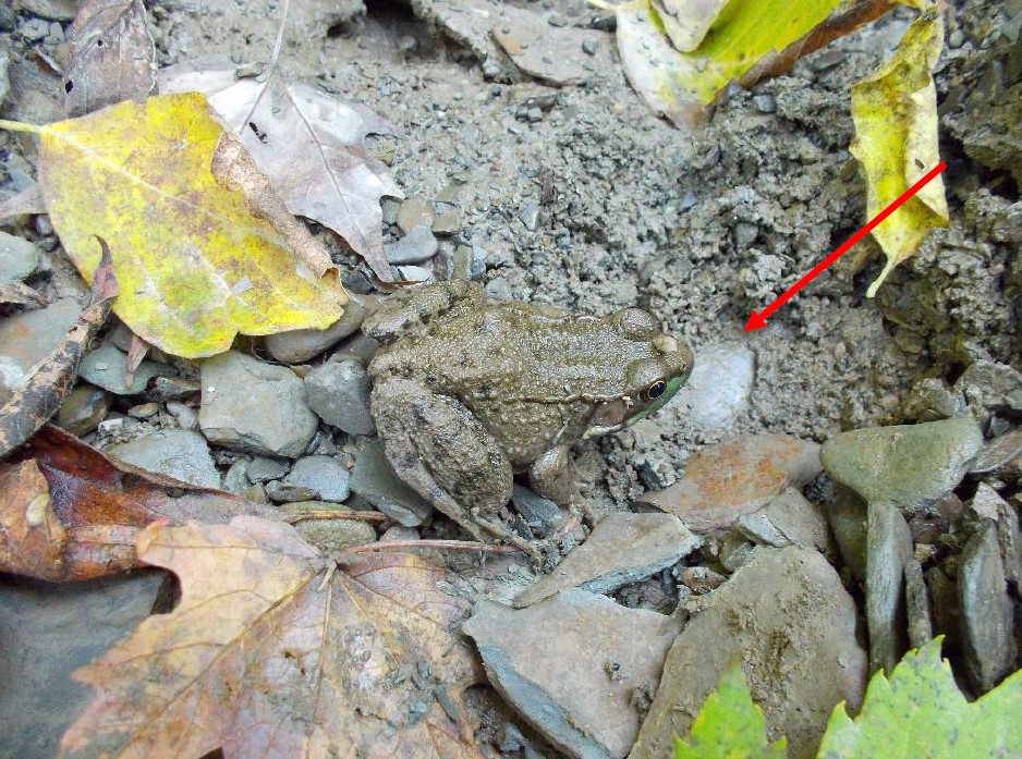 neogis.neorsd.org - /STORYMAP/WRRSP/WRRSP_Story_Map_Site_Photos/Geneva ...