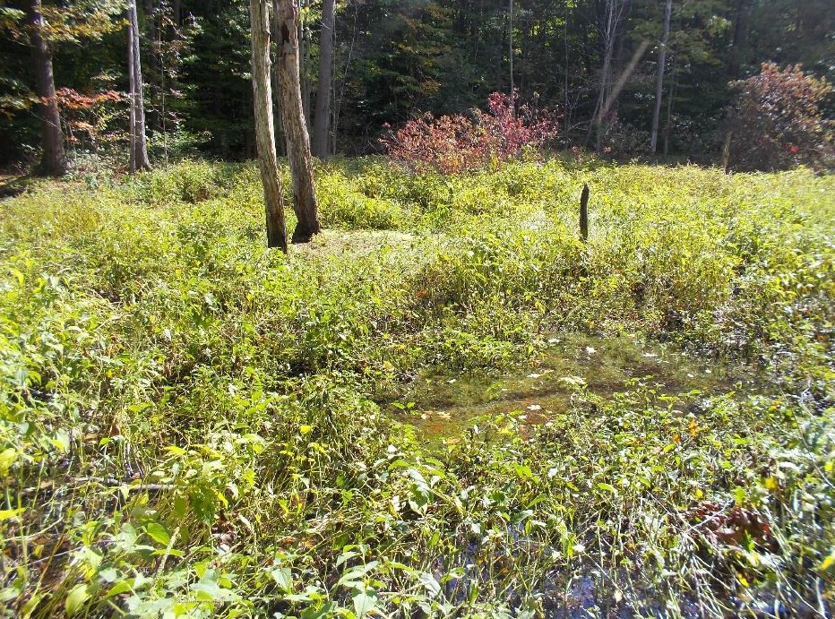 neogis.neorsd.org - /STORYMAP/WRRSP/WRRSP_Story_Map_Site_Photos/Geneva ...