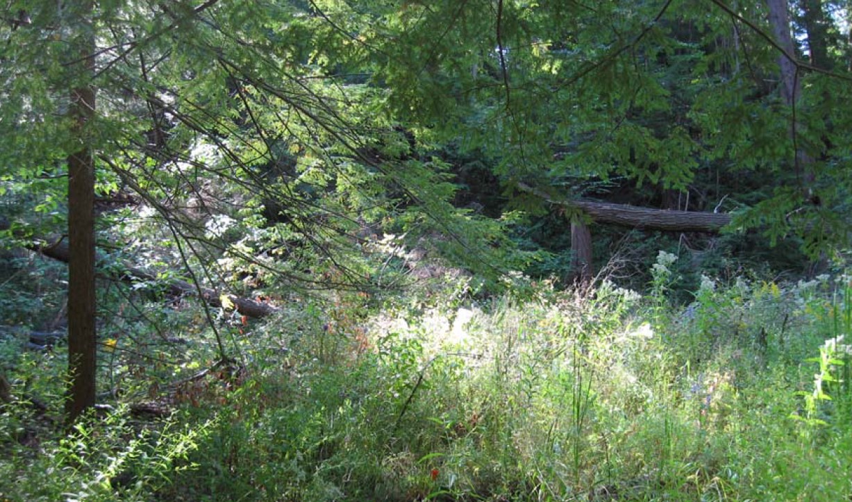 neogis.neorsd.org - /STORYMAP/WRRSP/WRRSP_Story_Map_Site_Photos/Orchard ...
